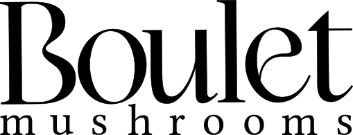 Boulet – Boulet Mushrooms – Slowly extracted functional mushrooms from ...